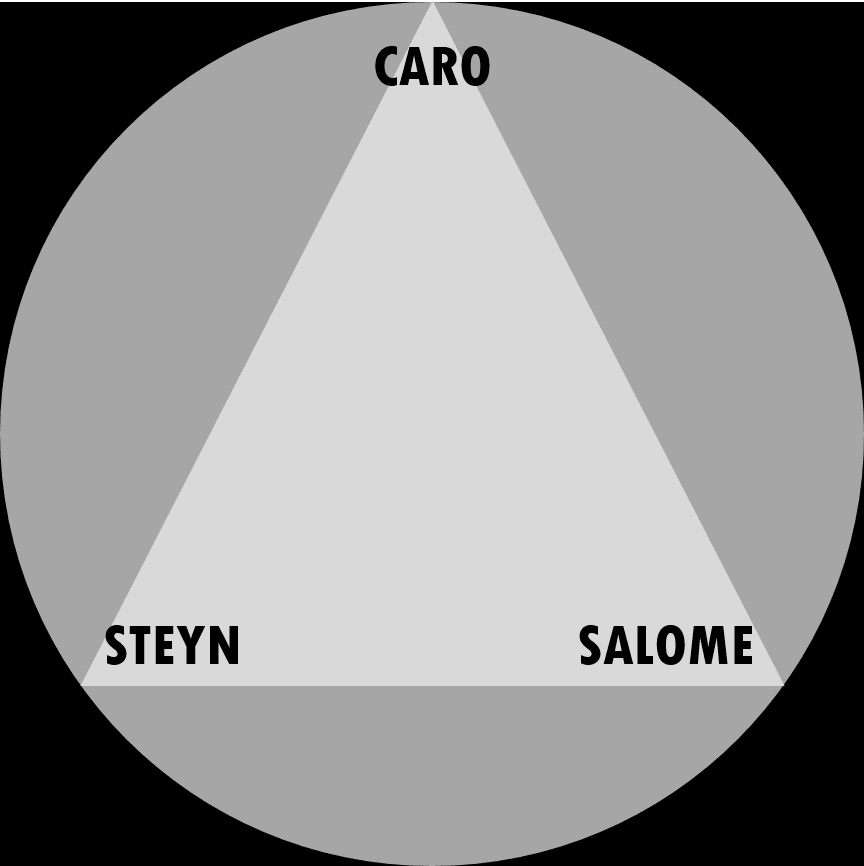 edupage cc: Die driehoekige sirkel: Literêre opstel 1