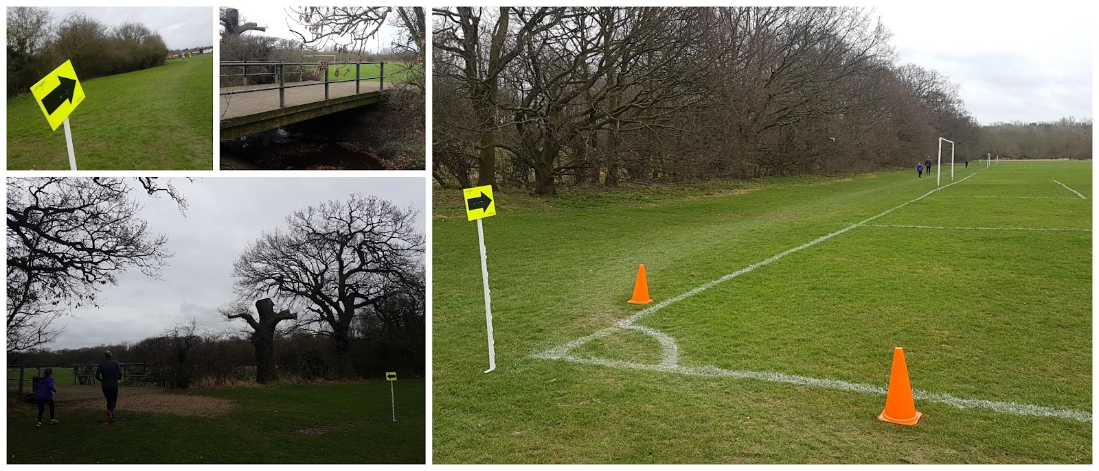 blog7t: Roding Valley parkrun