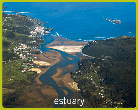 Mi primer año en Red XXI: The coast (Unit 8 - Science Y5)