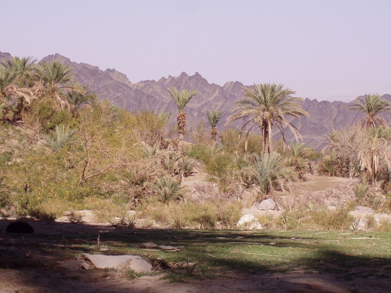 Discover Balochistan: "Shah Hussan", Mall area of Nushki, #Balochistan