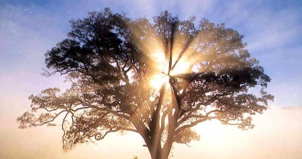 La Vache cosmique, blog philosophie de David Dubois: Cercle de ...