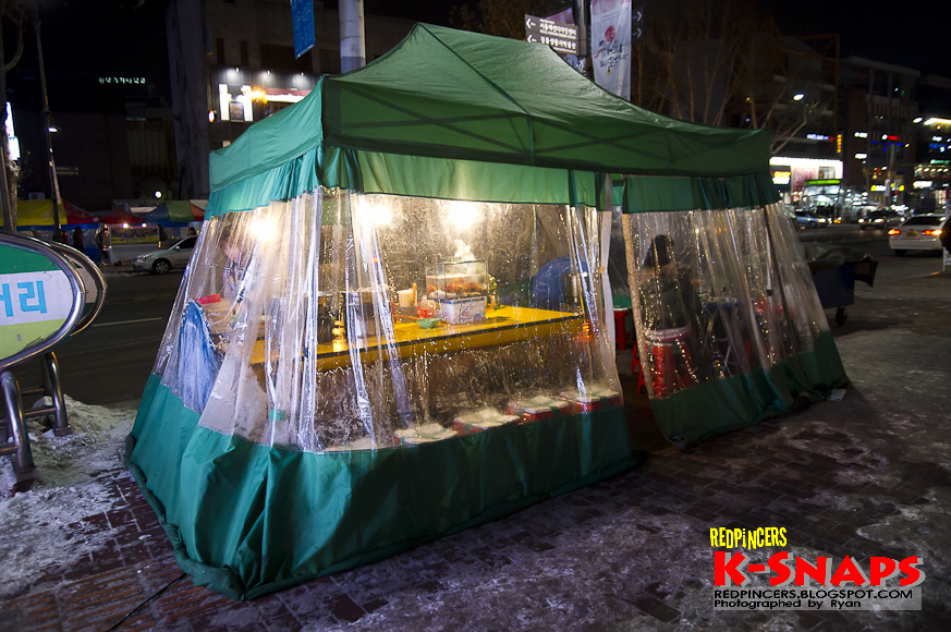 RedPincers K-Snaps: [Winter Korea Trip 2010/2011] Day 13: Namsan Park ...
