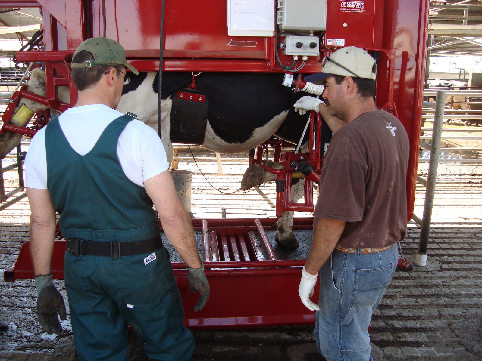 The Mayflower Companies: Improving Cow Comfort and Health...One Step at ...