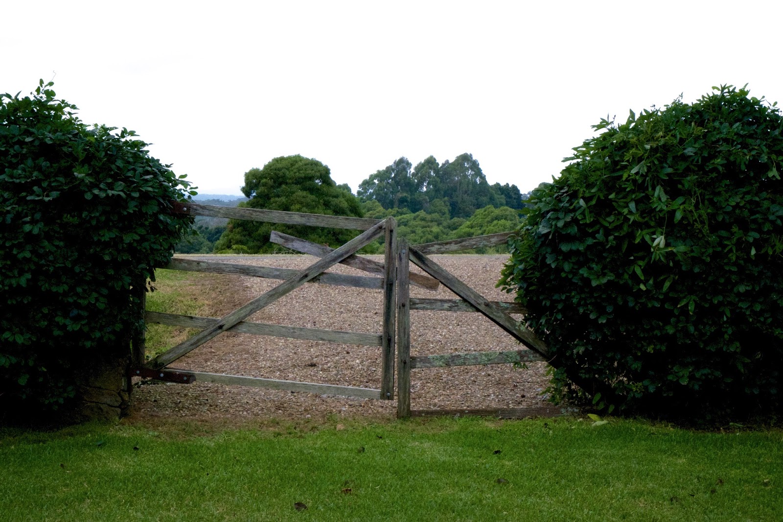 the lime walk: YOU WILL LOVE THIS GARDEN