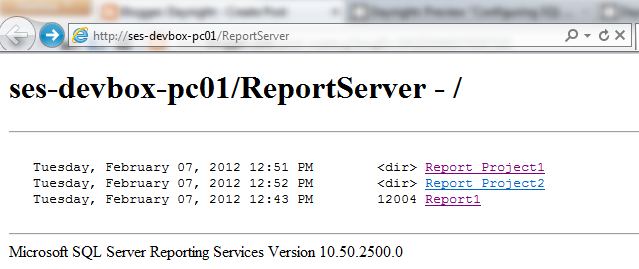 Daynight: Deploying a SSRS report to the Server, SSRS Web Management ...