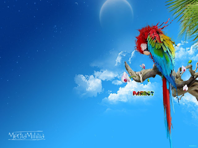 HD Snapshots: beautiful wallpapers | hd desktop backgrounds | desktop ...