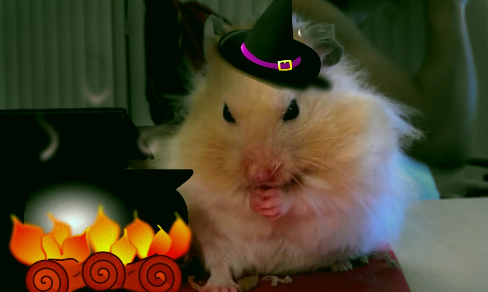 Laura D McBryde: Only 30 days til Halloween!!