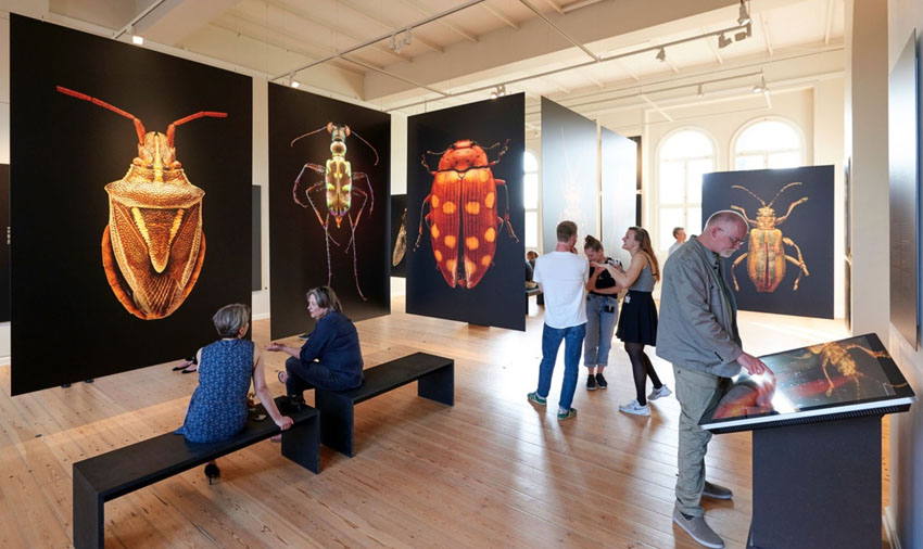 Gurney Journey: Detailed Photos of Insects