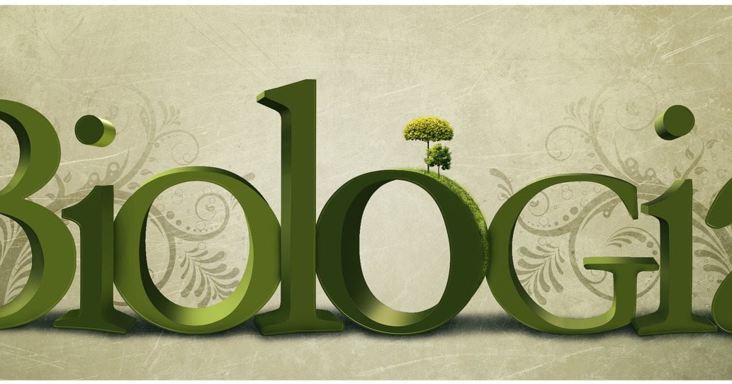 Blog de eloy: BIOLOGÍA