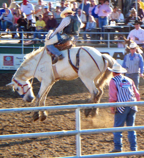 Random Images from a Nightowl: Marysville Stampede May 29, 2011