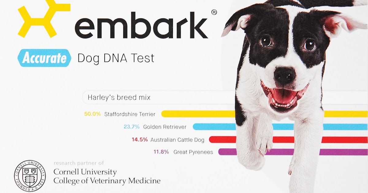 Embark Dog DNA Test Review