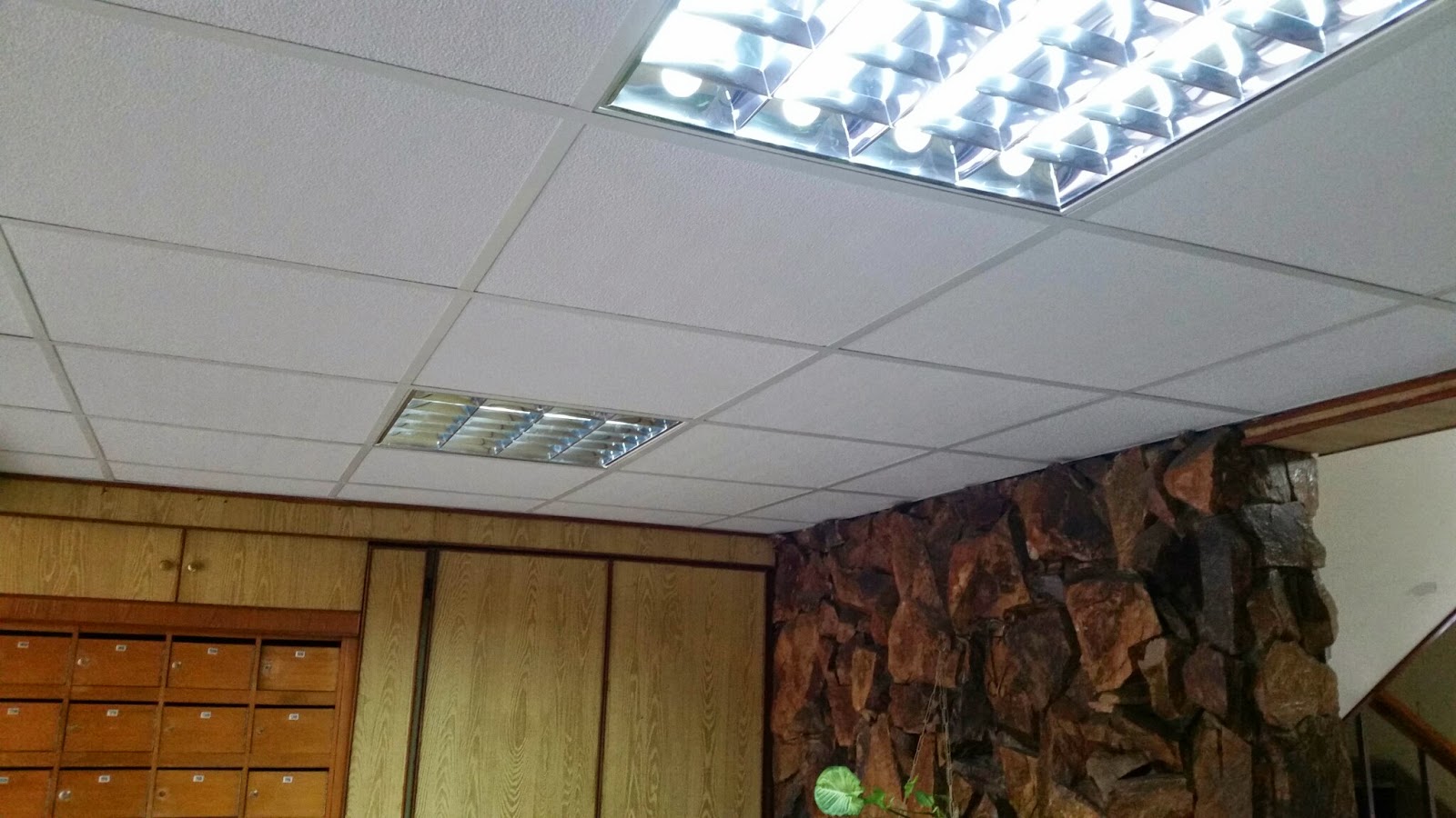 Cielorrasos en PVC - Uruguay: Cielo Raso Desmontable con placa de lana ...