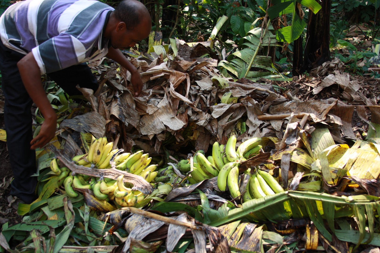 World Travel and Adventure