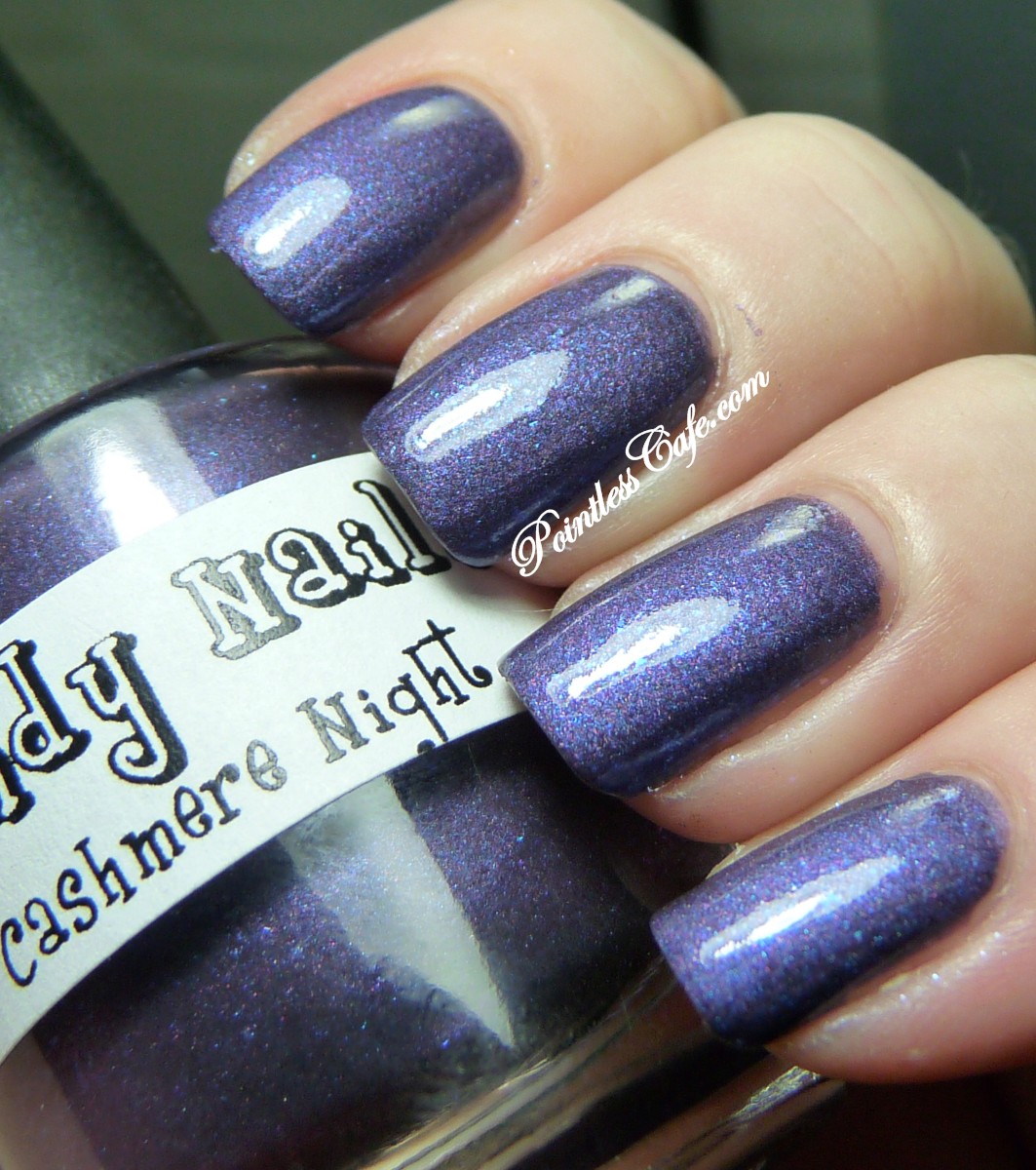 Dandy Nails Winter Collection 2012 | Pointless Cafe