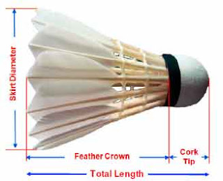 FLIGHT OF SHUTTLECOCK: PRINCIPLE