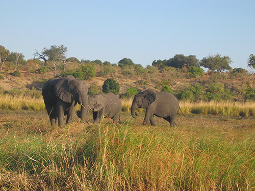 Angola - Travel Guide and Travel Info - Exotic Travel Destination