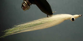 Eastern Kentucky Smallmouth: Best Smallie Flies for the Levisa Fork and ...