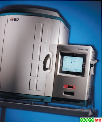 [Microbiology] Atlas of Antimicrobial Susceptibility Testing | Free ...