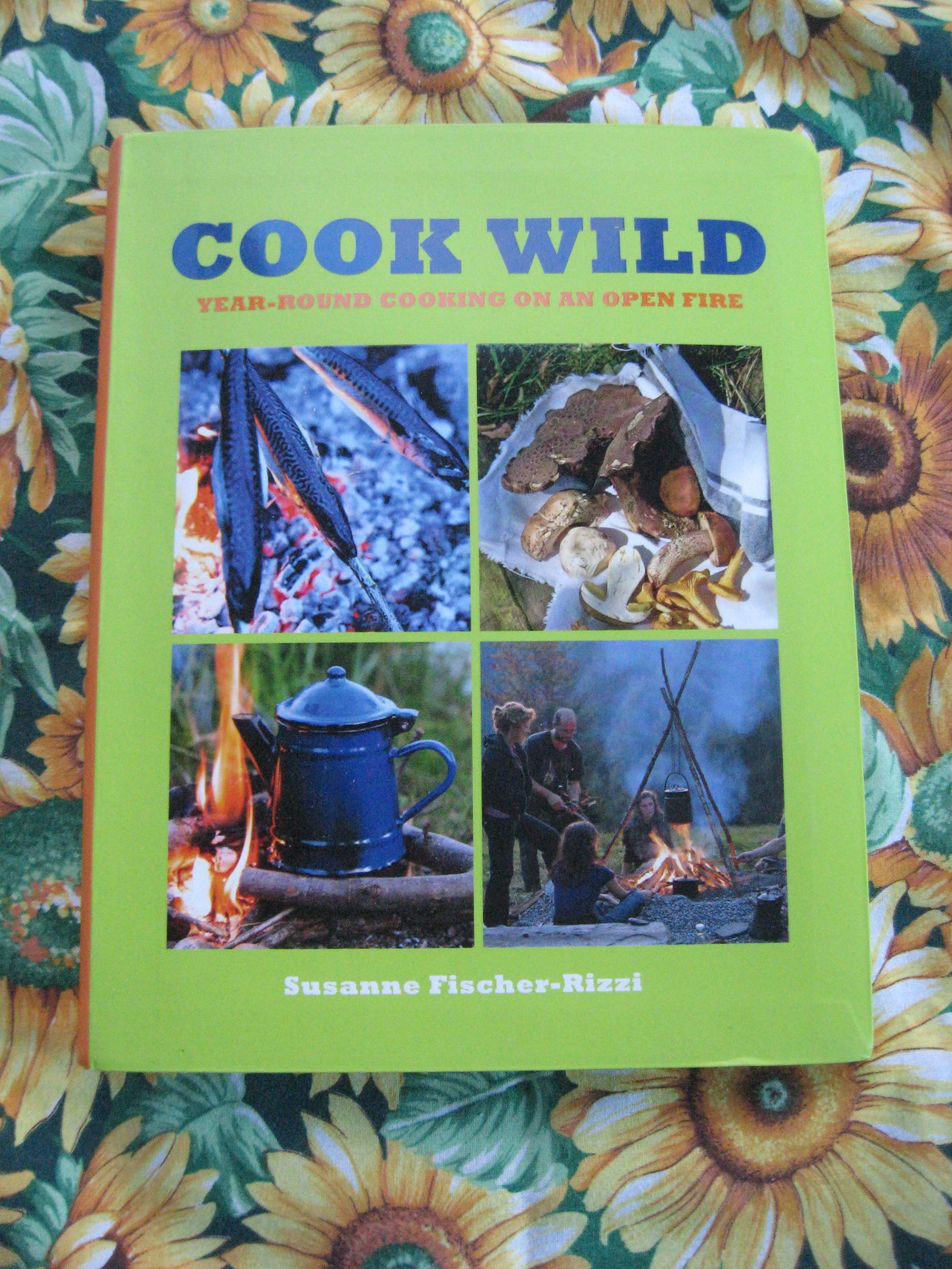 Barbecue Master: Cook Wild - Getting Creative with Food and Fire - Book ...