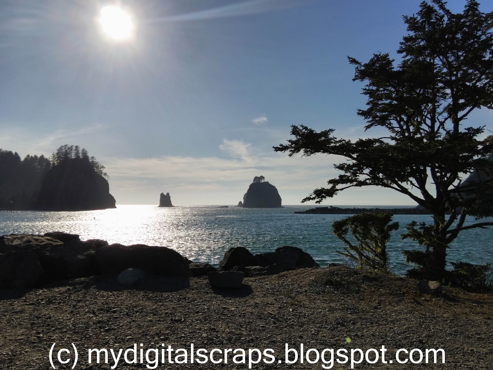 My Pensieve: Road Trip - Forks, La Push and Ruby Beach