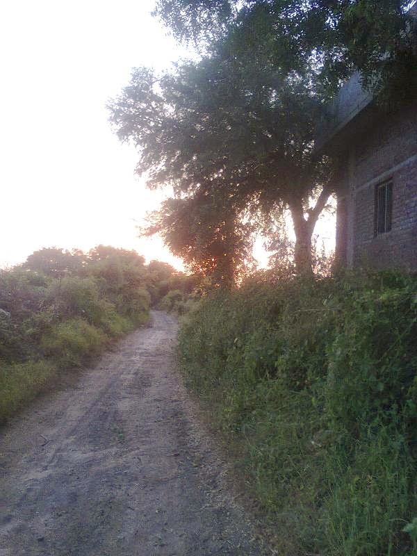 shekhpipariya is a vibrant village at lathi taluka distric amreli ingujarat