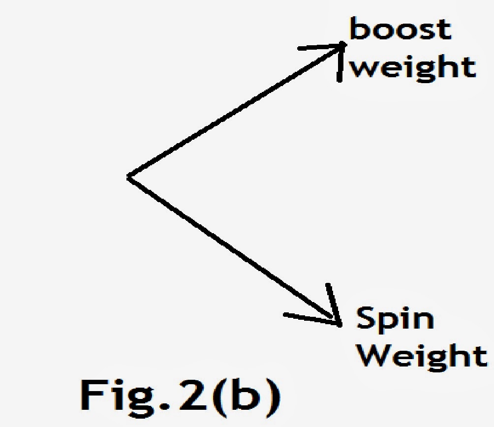 TRU_SCIENCE & TRU_TECHNOLOGY: On Spin-Gravity in a new Renormalization ...