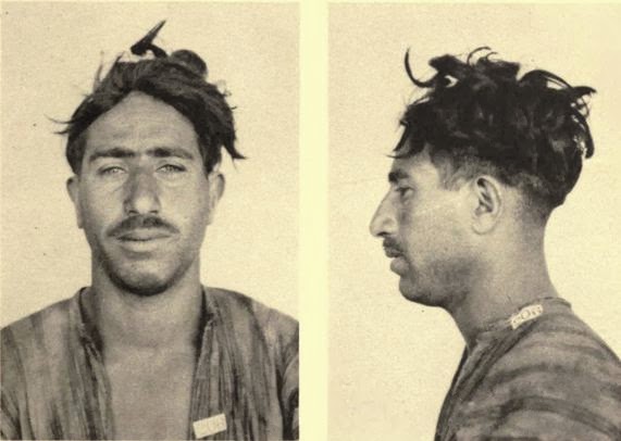 Iranid/Irano-CM examples