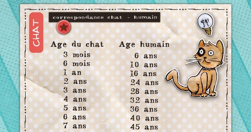 Les Chats du Bocage: Tableau des Âges - Equivalence - Chat - Chien