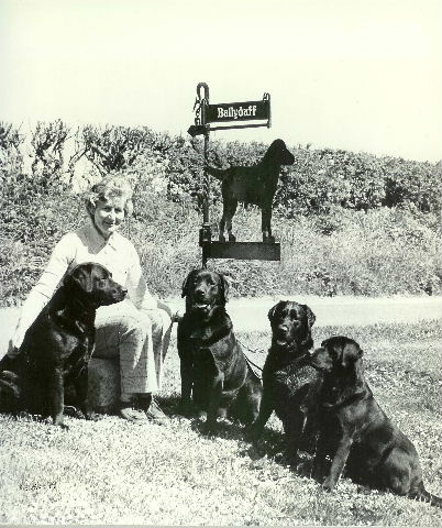 DE LA ERA ALTA. MIS COLEGAS LOS PERROS. Roberto García Nieto: FOTOS ...