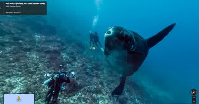 Google Tambah Gambar Street View Bawah Laut dari Karimun Jawa Hingga ...