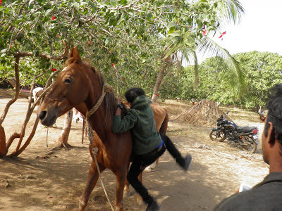 SHREE R D JHALA HORSE RIDING CLUB RAJKOT: MAULIK,JENISH AND GOHEL SIR