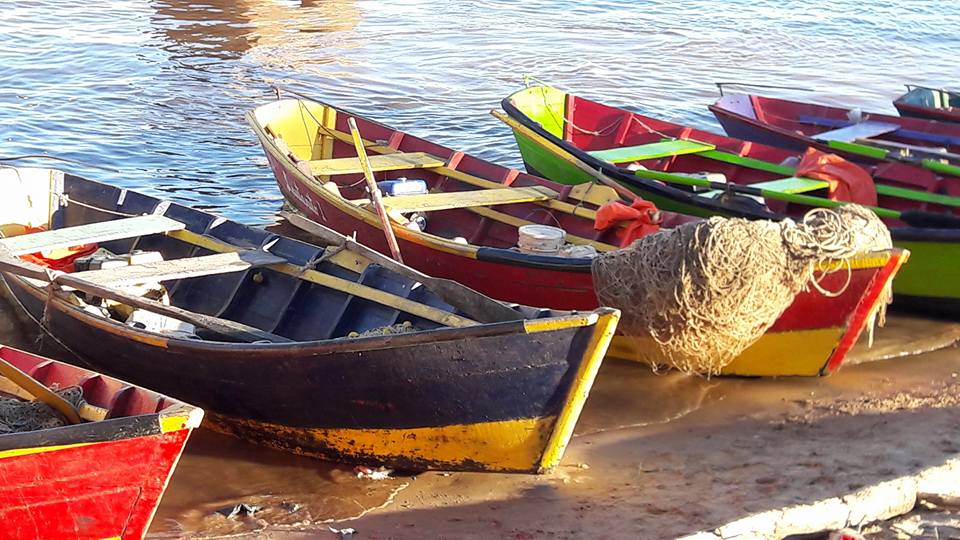 Lunes por la madrugada: Bote botero