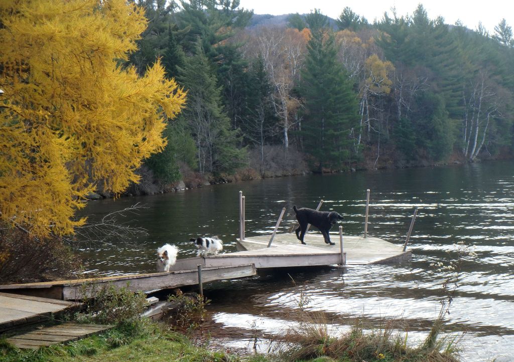 Windswept Adventure: Adventure To Debar Pond Lodge - Part 2