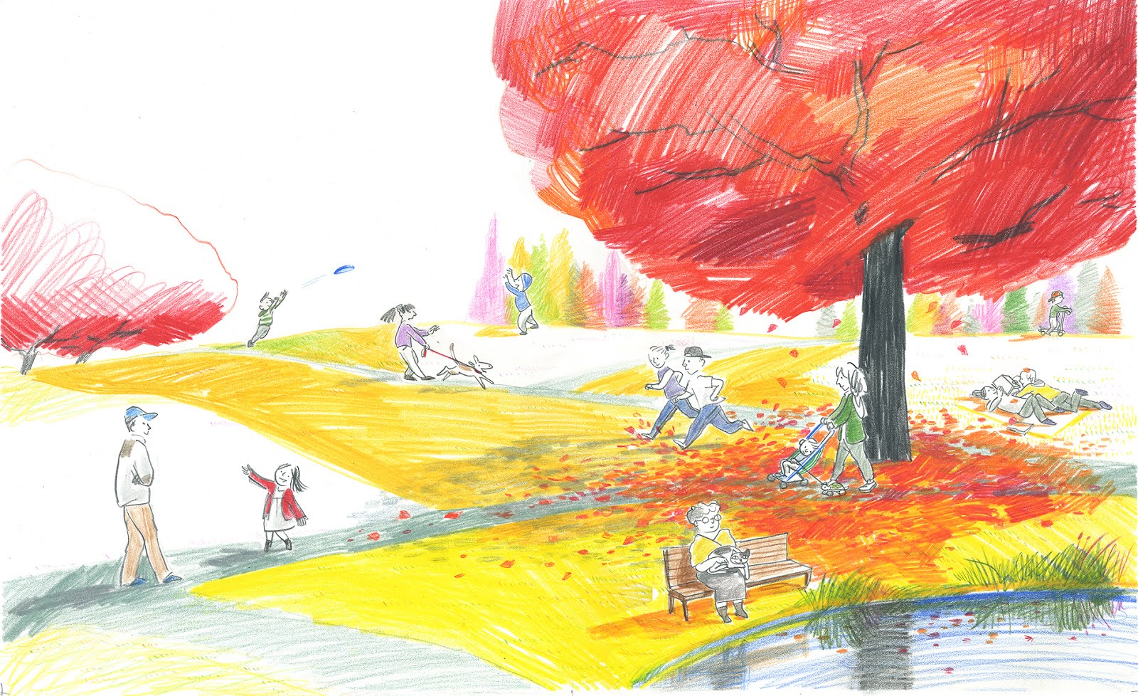 Let's Talk Picture Books: Let's Talk Illustrators #35: Suzy Lee