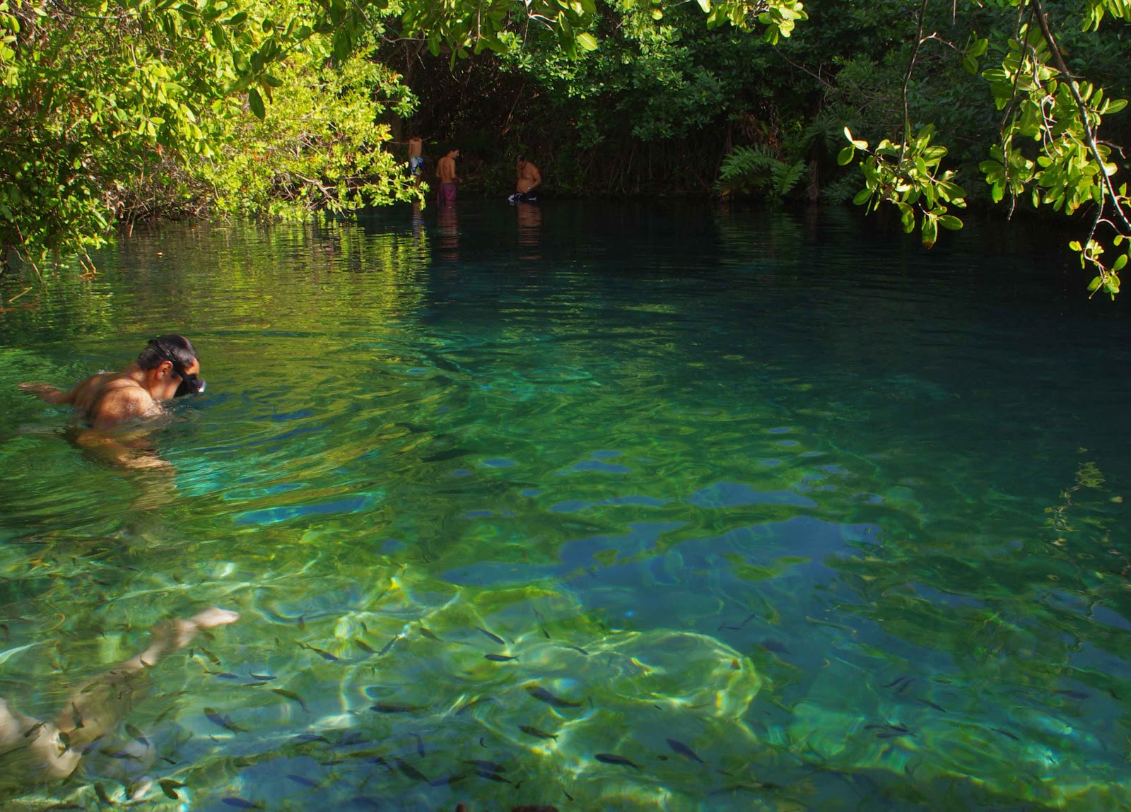 usbackroads™: Xcacel Beach, Yucatan Peninsula, Mexico