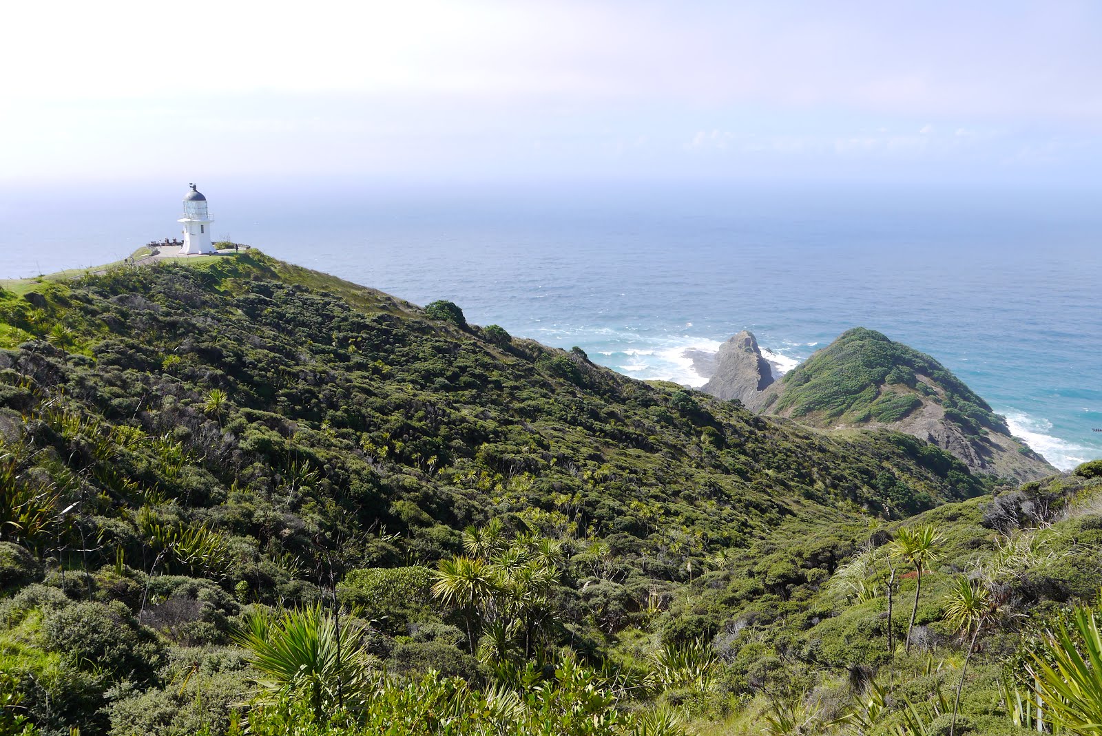 Les Chtis Kiwis en Nouvelle Zélande: Cap Reinga