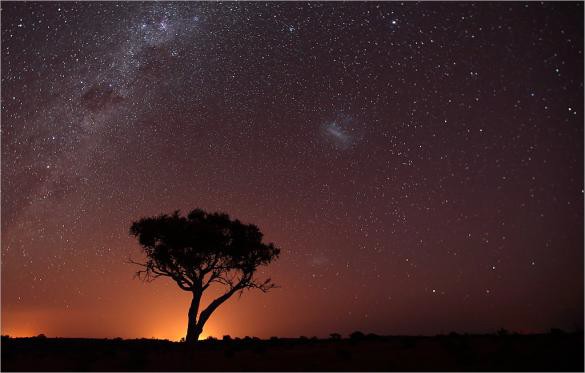 Midrand Camera Club News: May 2013