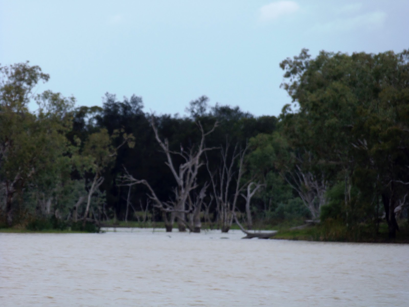 Solo Steve On The Road: YARRIE LAKE via NARRABRI NSW