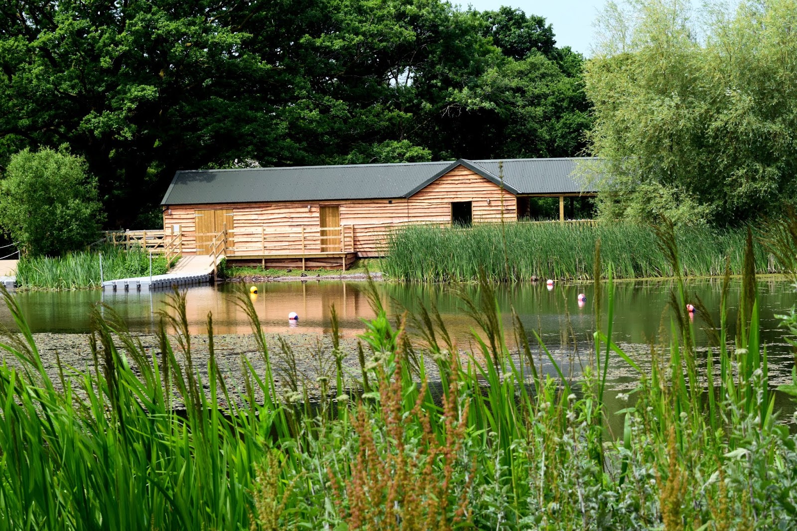 Tantrums To Smiles: Adventure and Activities at Bluestone Wales **REVIEW**