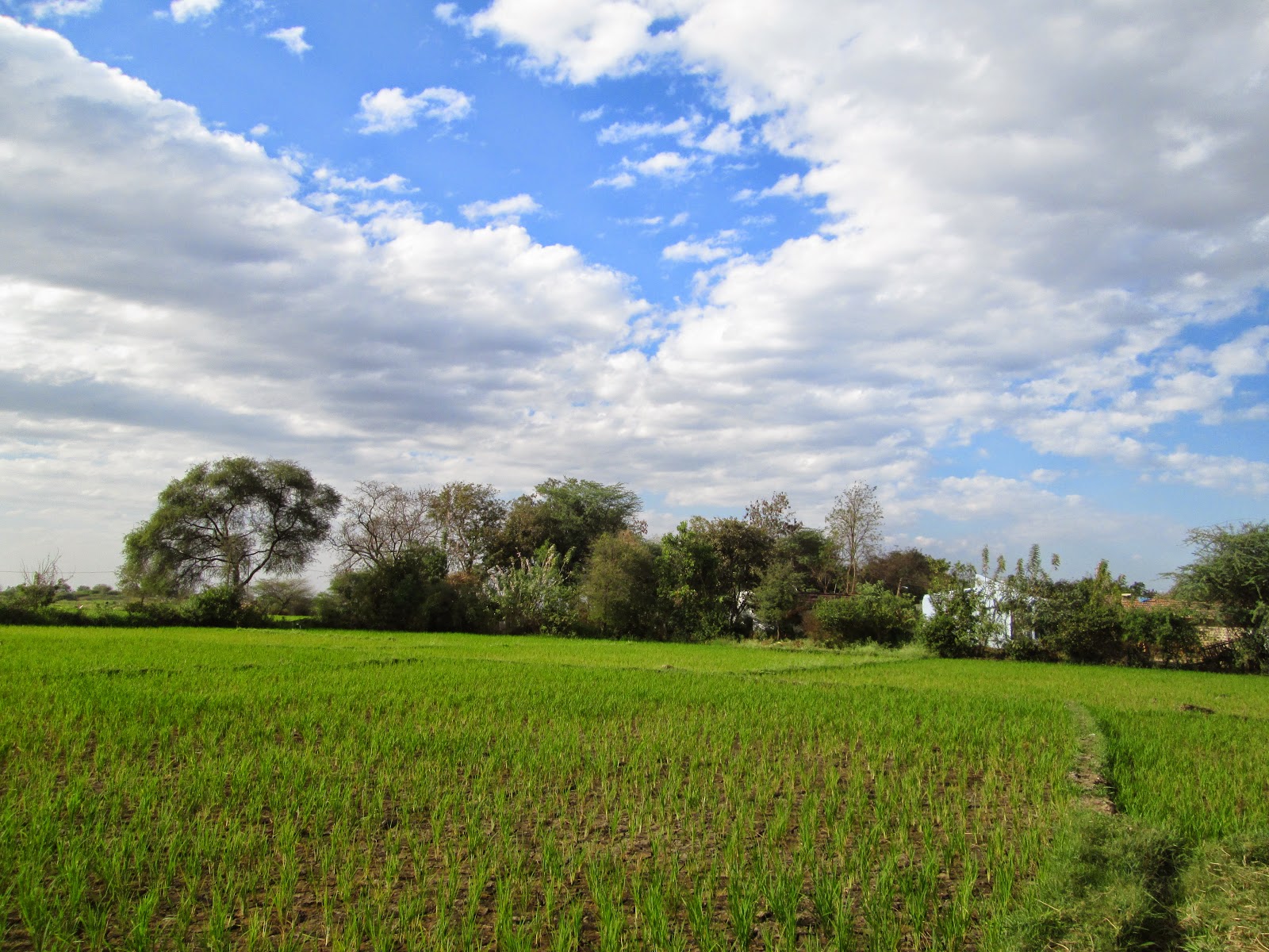 Village Nature Background Images