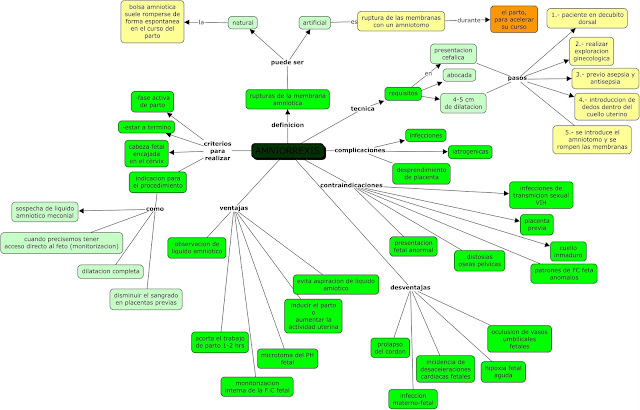 Ginecologia grupo 5 2016 Ernesto Fernández Núñez: AMNIORREXIS Y EPISIOTOMIA