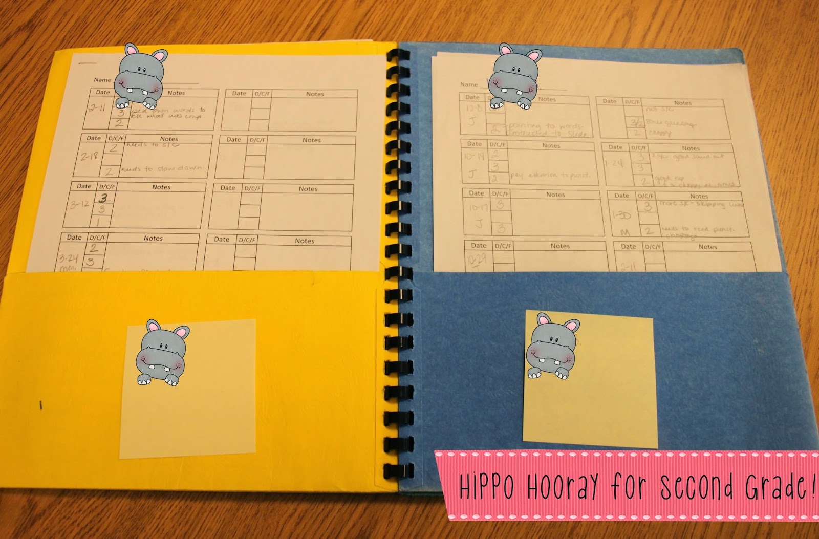 Bright Idea: Organizing Guided Reading Notes - Hippo Hooray for Second ...