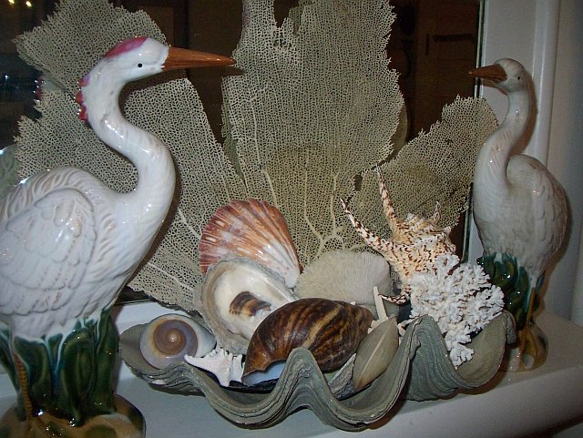 The Uptown Acorn: CLAMoring for the Clam Shell