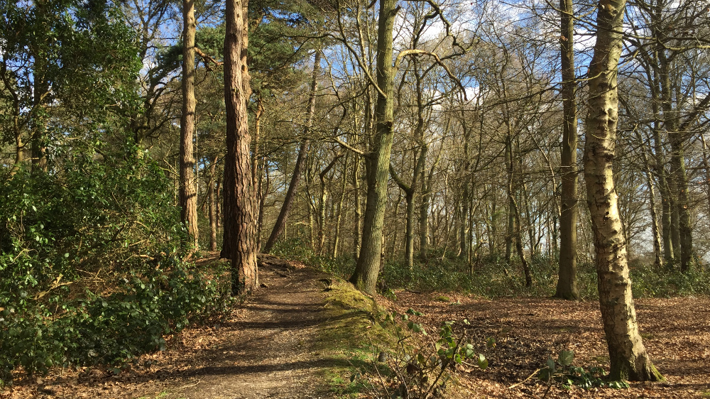 London underfoot: London Loop 15: Hatch End – Borehamwood