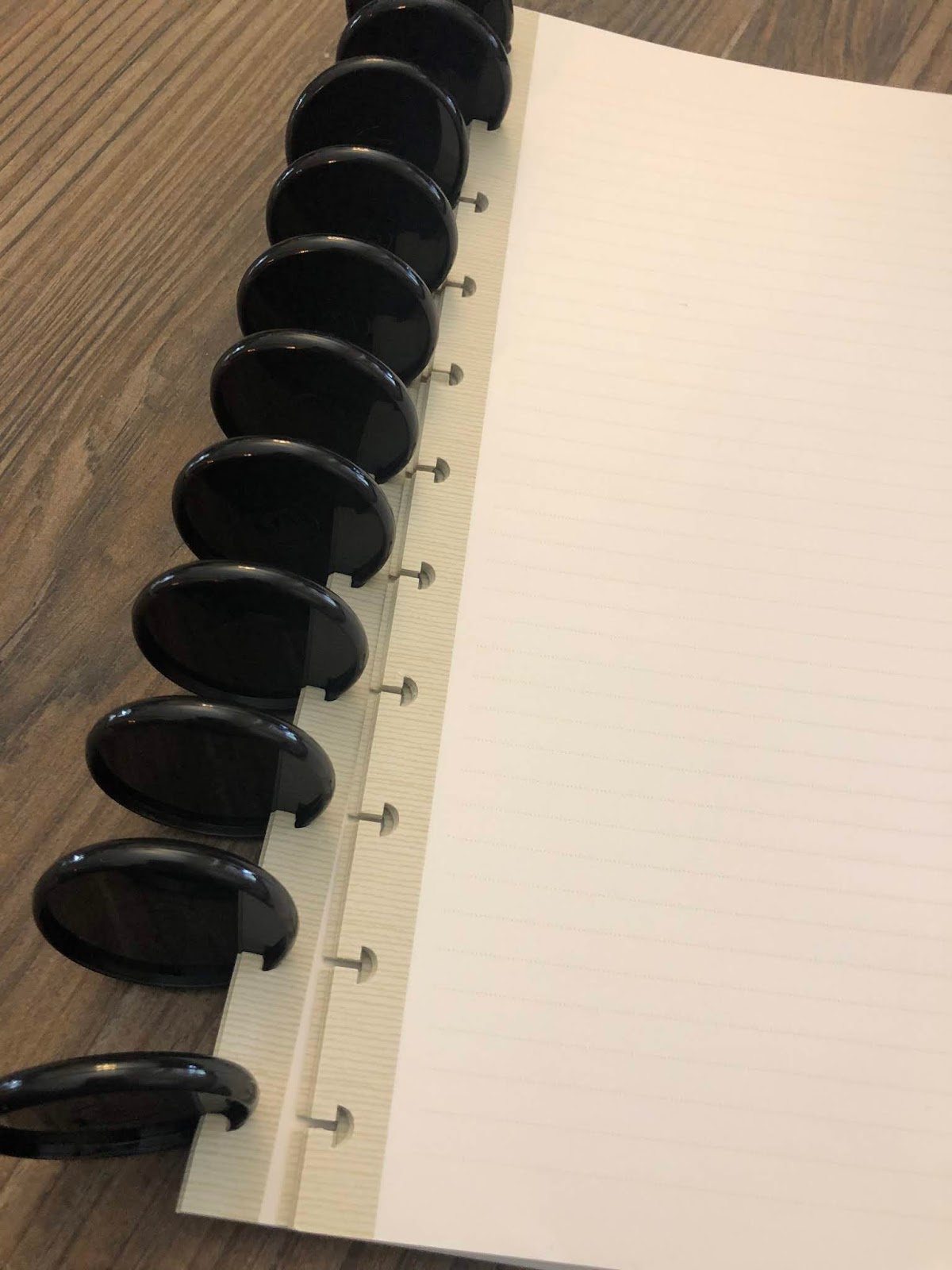 Creating a Disc Binder from Start to Finish - Stephanie McConnell ...