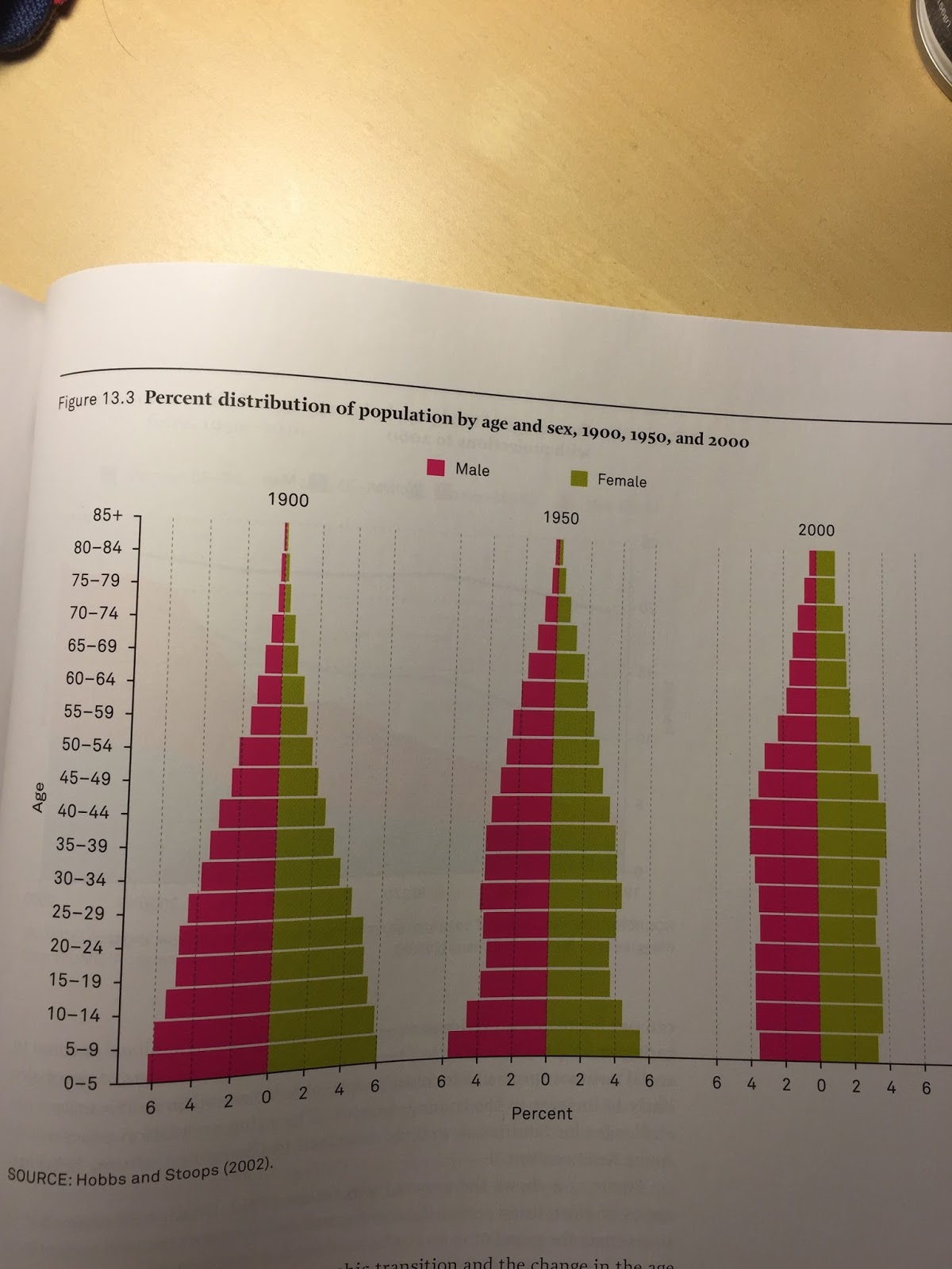 Sociology 103 Project: Chapter 13: Age Structure