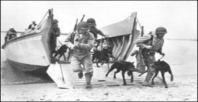 Como educar un perro: Historia de los perros