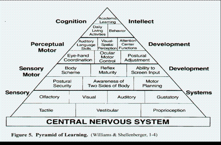 AB-C Tumbuh Kembang: Sensori Integrasi untuk Kesiapan Belajar