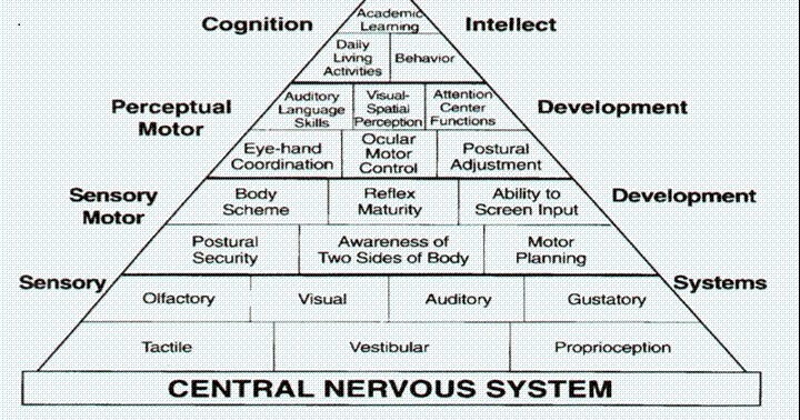 AB-C Tumbuh Kembang: Sensori Integrasi untuk Kesiapan Belajar