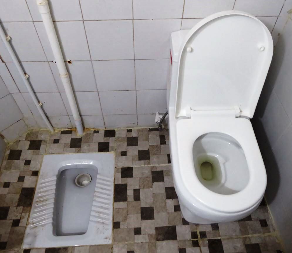 Rheumatologe: Toilets for the Traveller in Iran